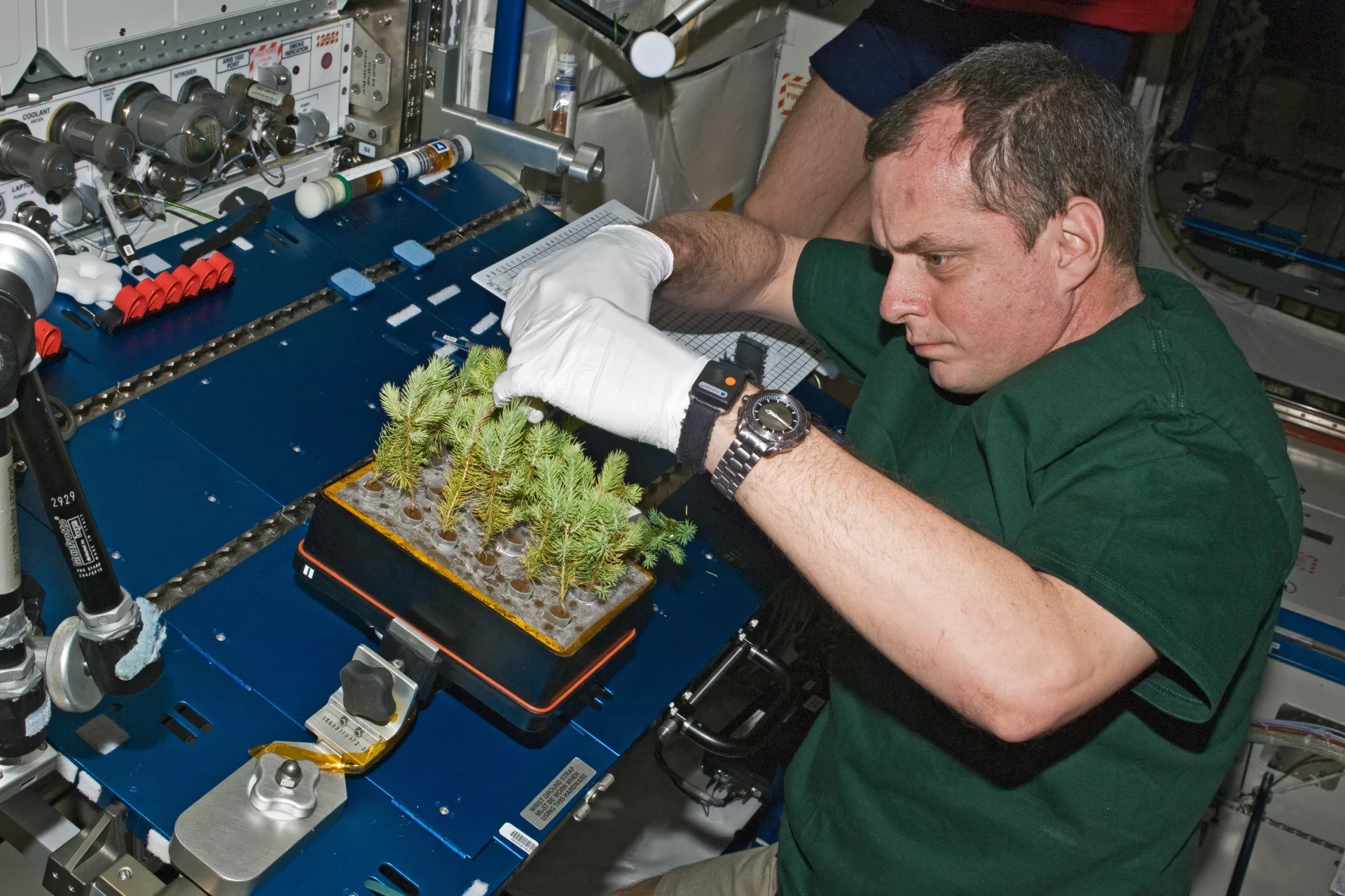 Science Experiments To Bring To Space Station By NASA